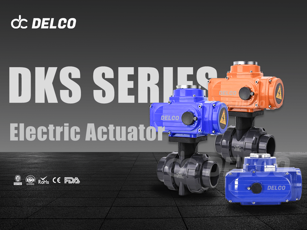 DELCO DKS Series Electric Actuators: Structure and Key Features ...